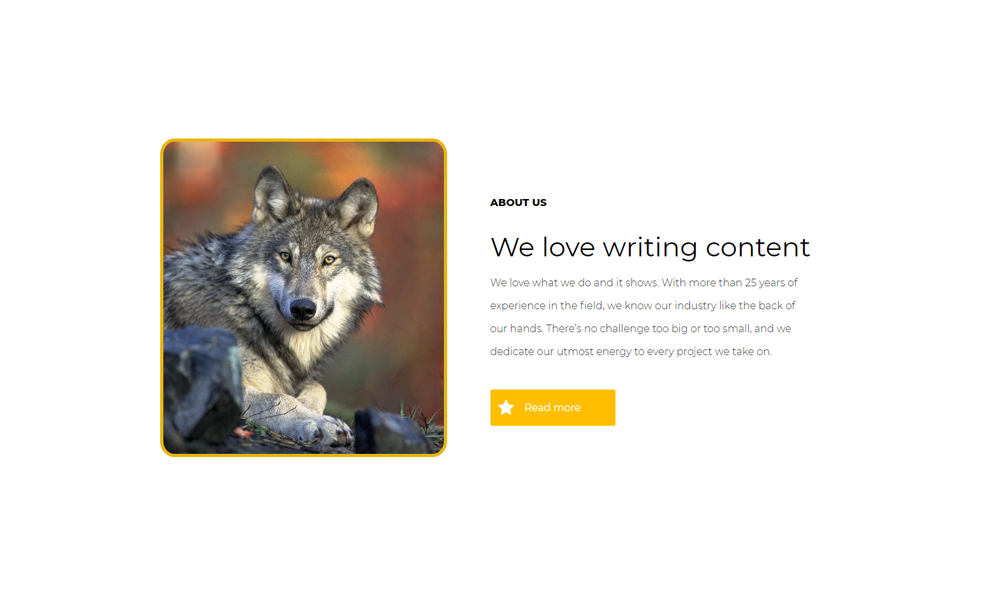 Webcenter | Site Widgets